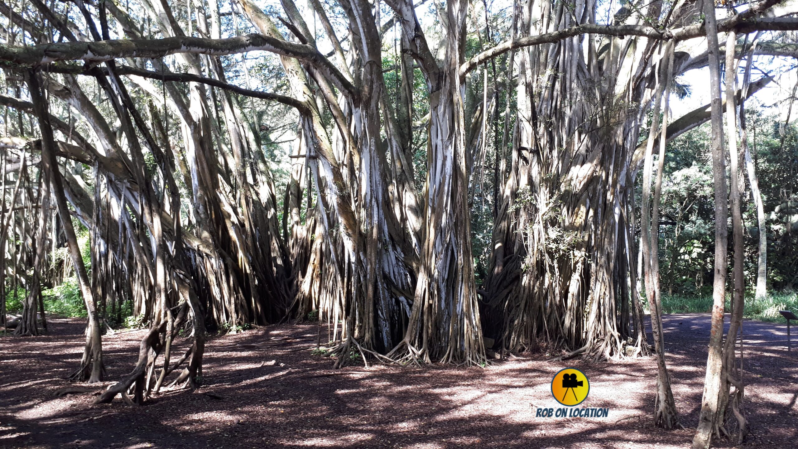 Lost - Rob on Location Filming Locations Database