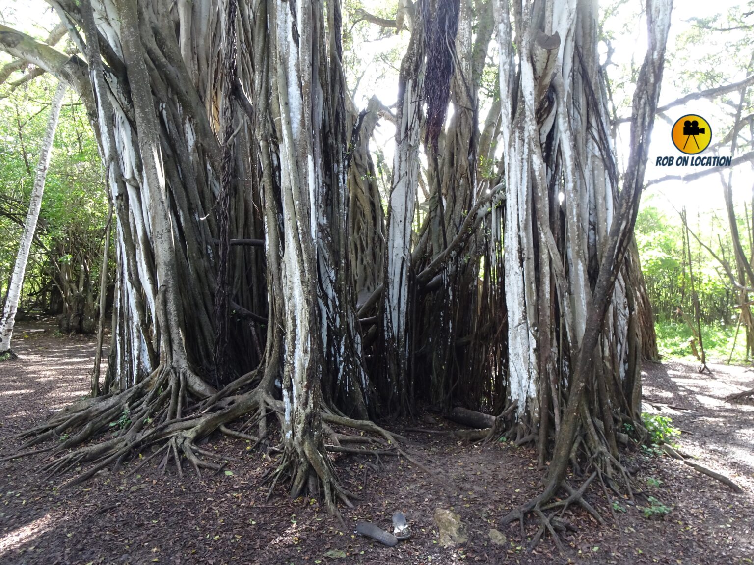 Lost - Rob on Location Filming Locations Database