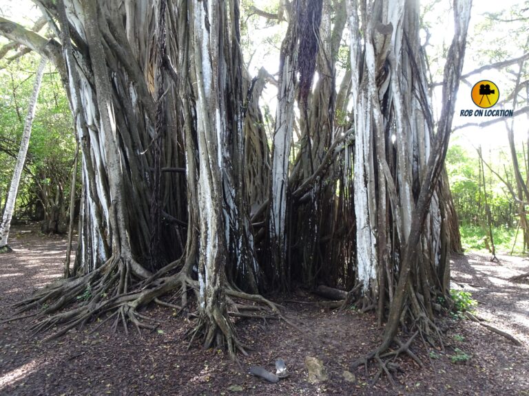Lost - Rob on Location Filming Locations Database