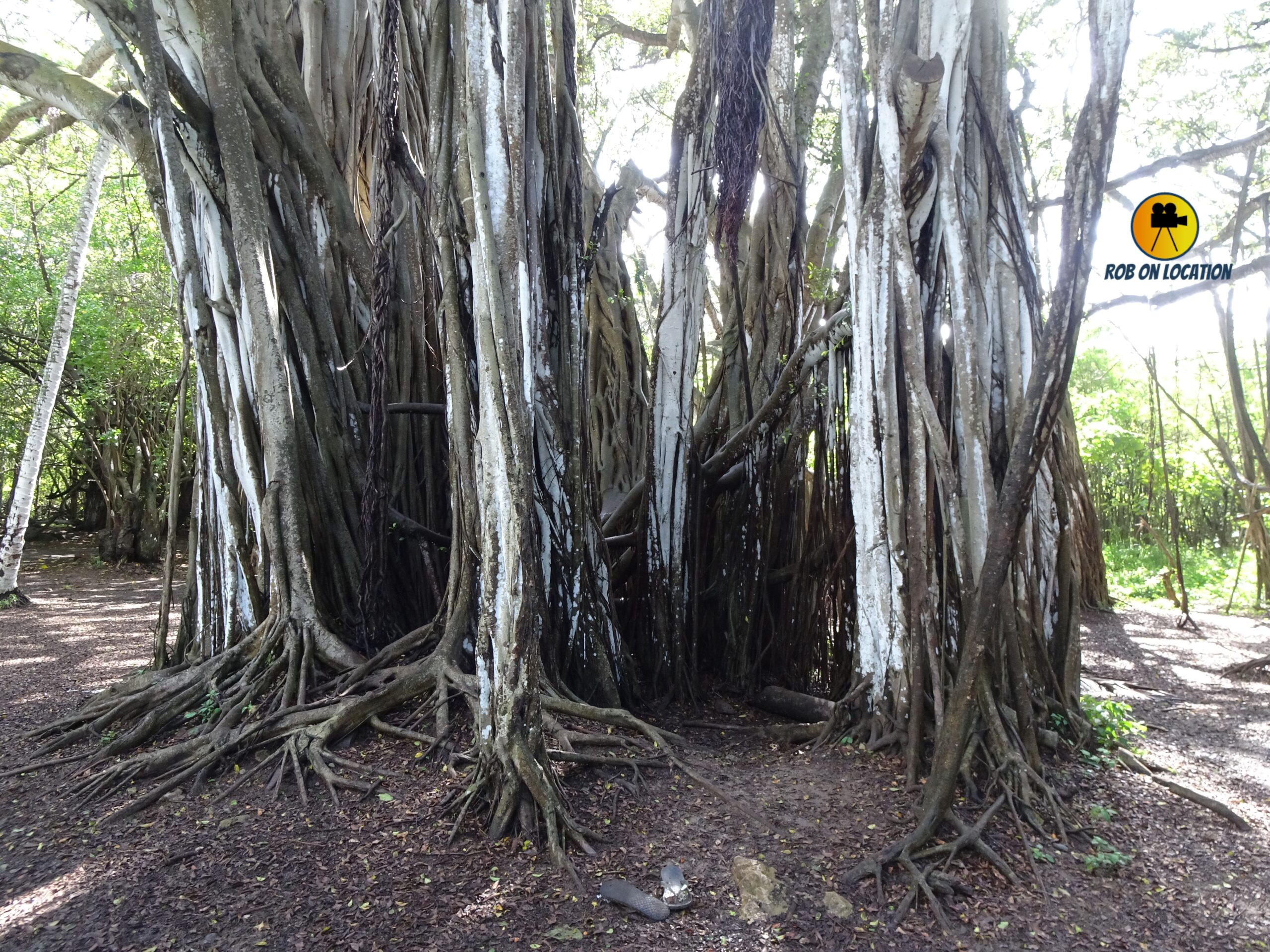 Lost - Rob on Location Filming Locations Database