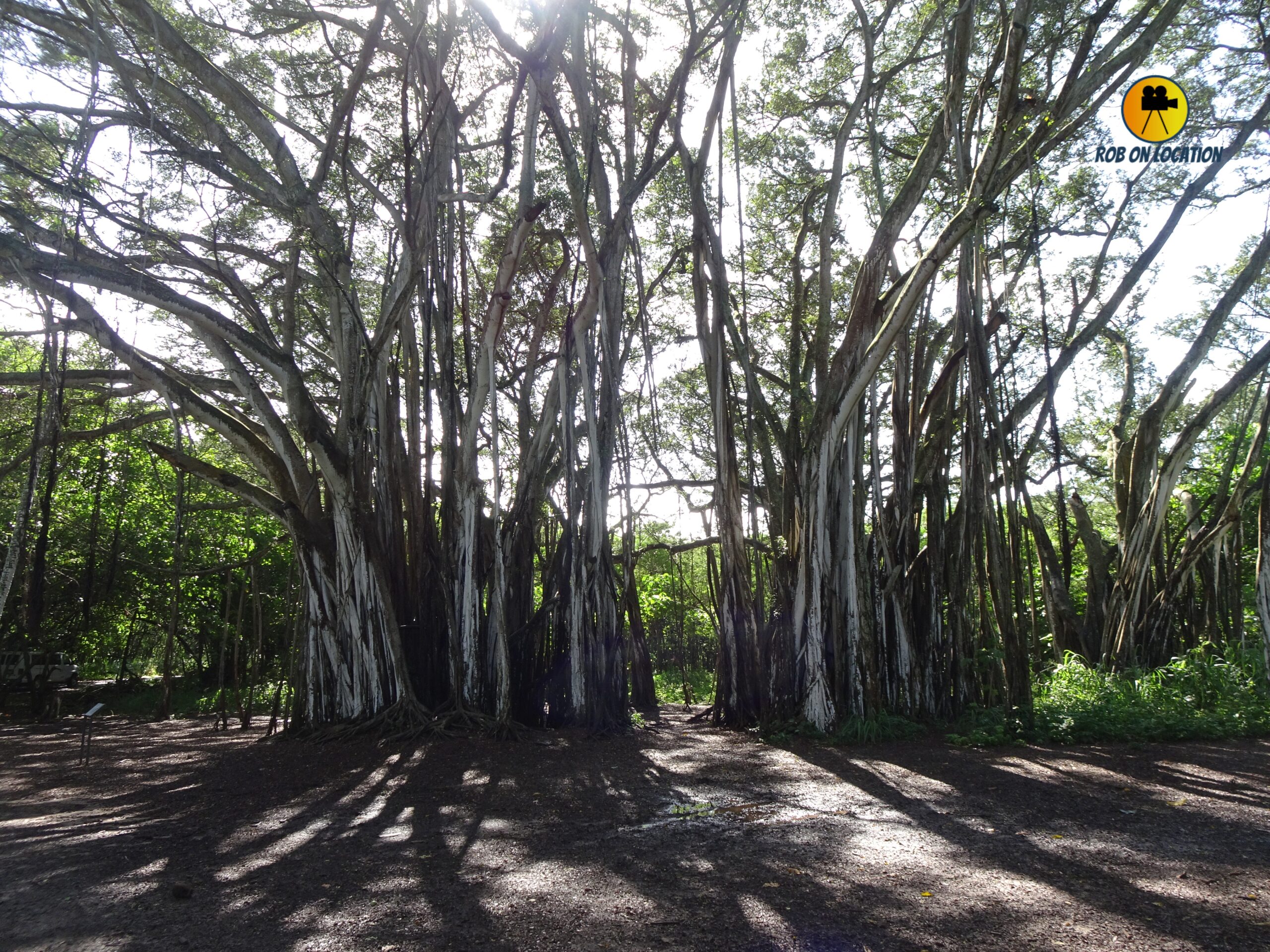 Lost - Rob on Location Filming Locations Database