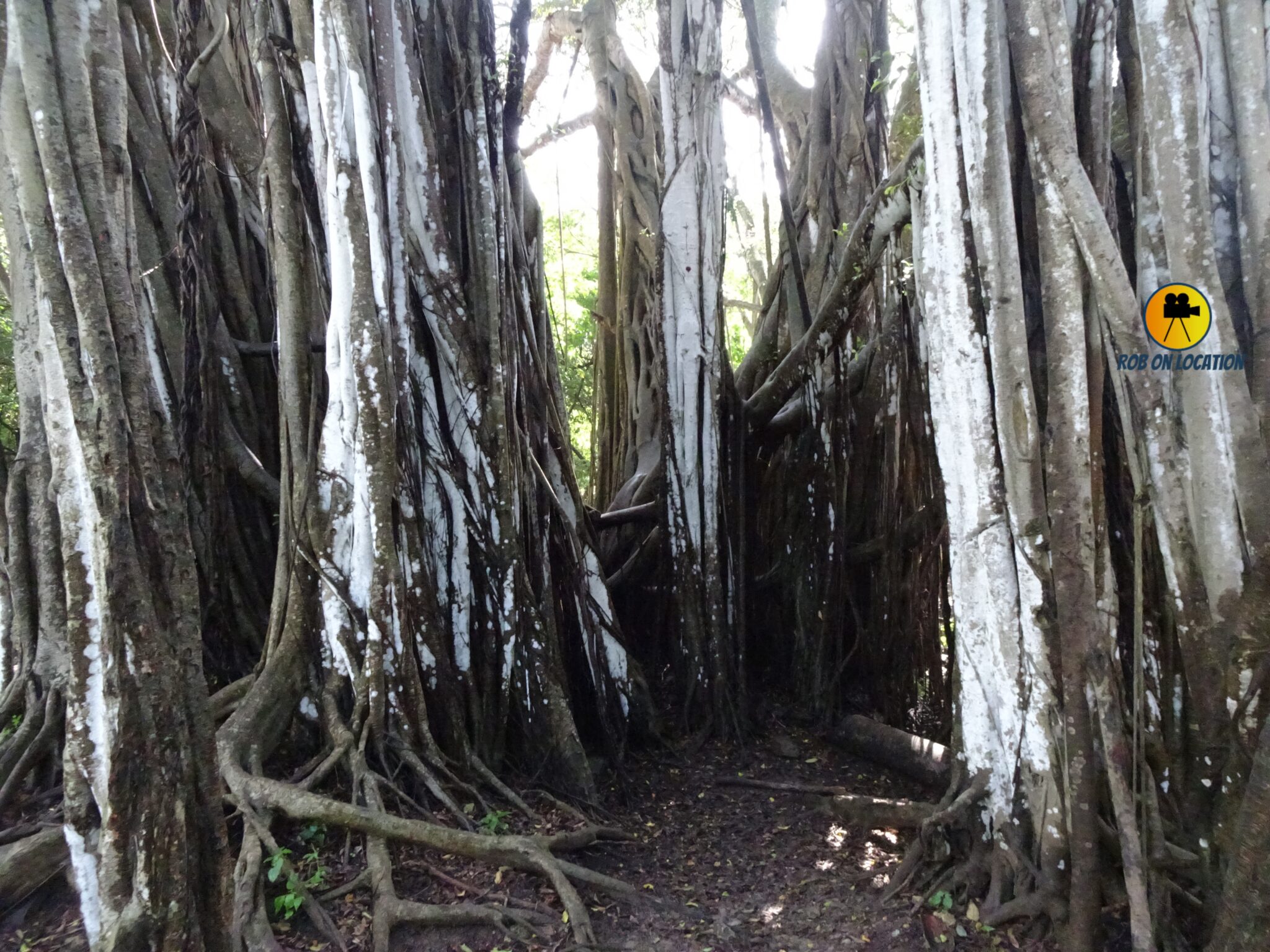 Lost - Rob on Location Filming Locations Database