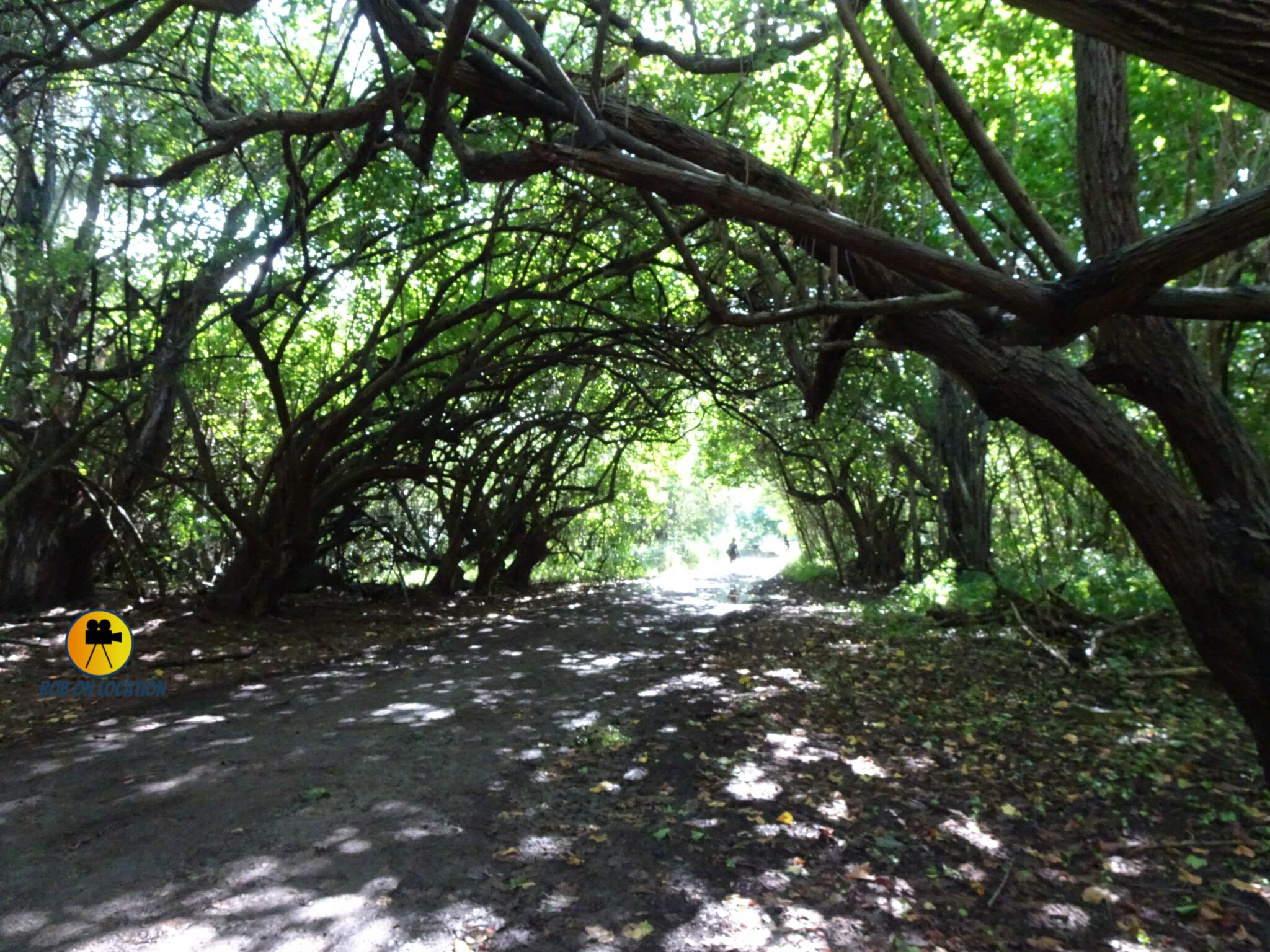 Lost - Rob on Location Filming Locations Database